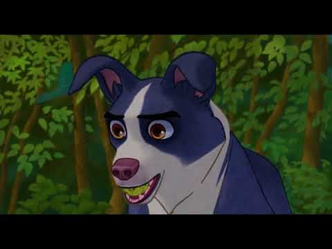 A Dog’s Courage (Jacob is Abandoned) - YouTube