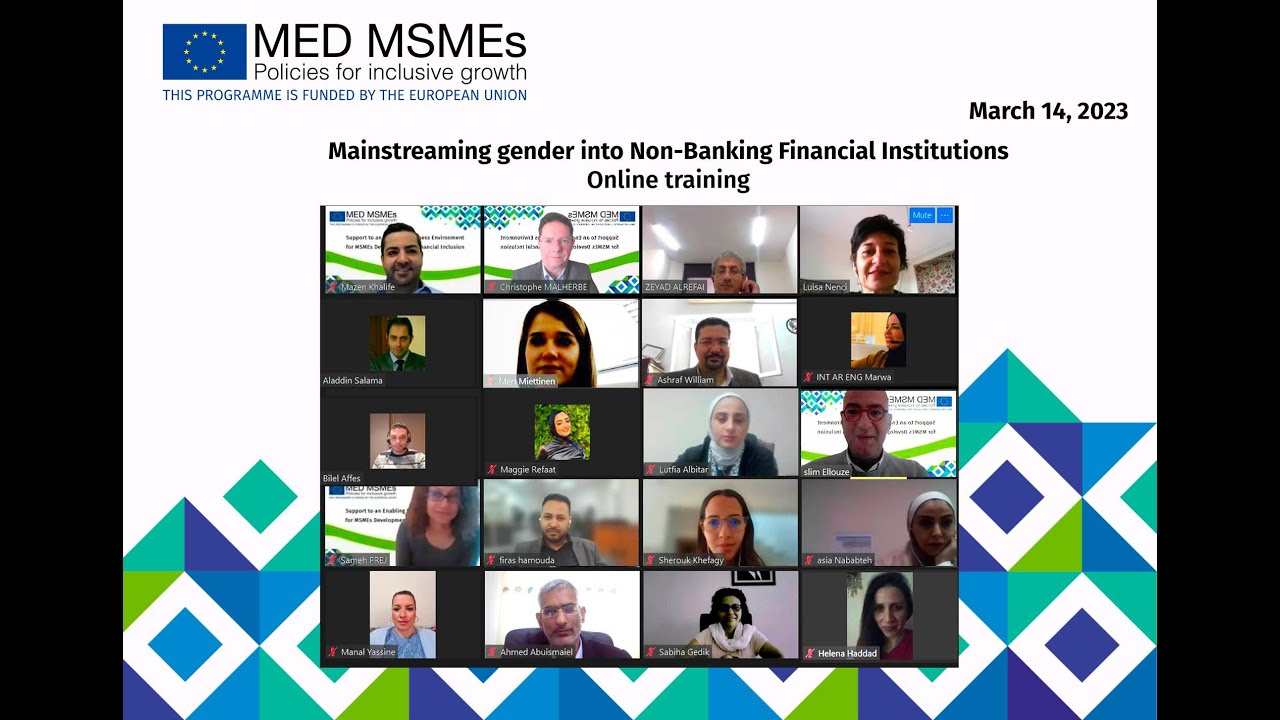 MED MSMEs March 14, 2023 "Guidelines for mainstreaming gender in NBFIs ...