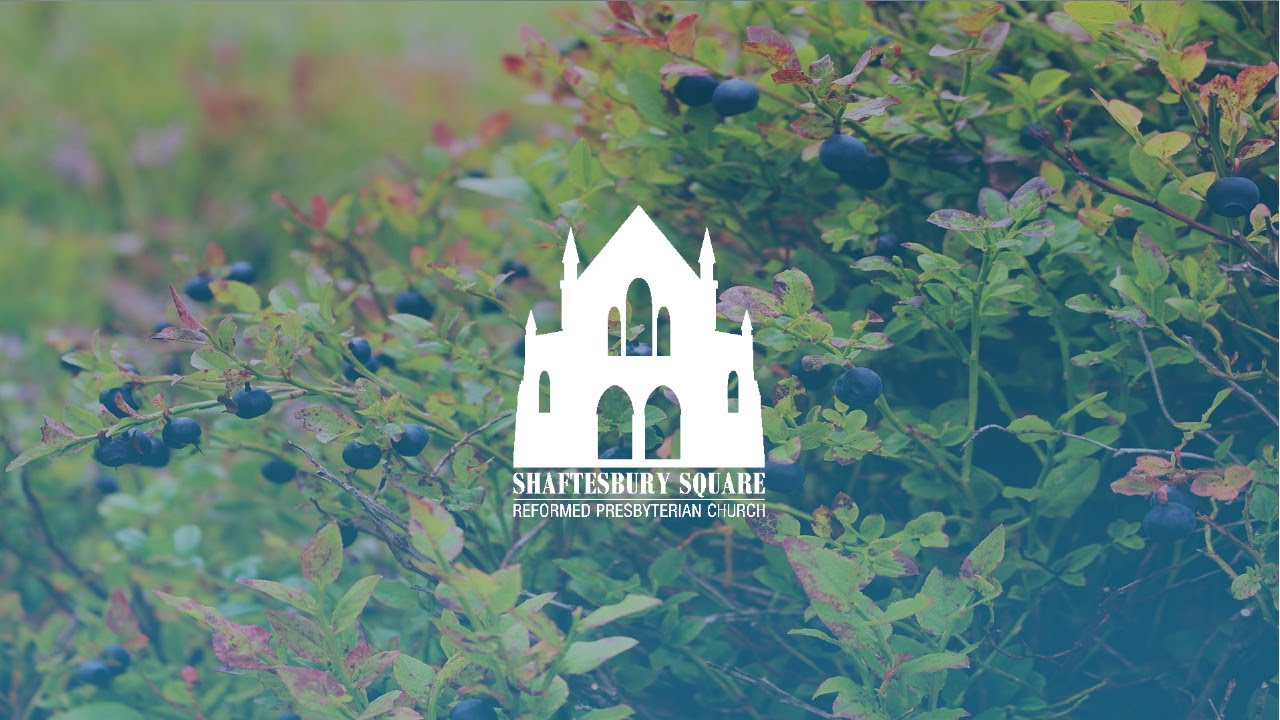 The Covenant at Sinai, Exodus 20:3-6, SSRPC 30/10/22 Morning Service ...