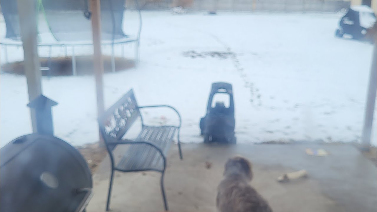 Munkie Explorers forest soundtrack - YouTube