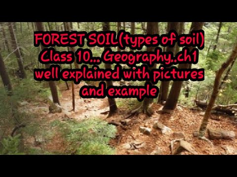 FOREST SOIL|types of soil|class10 |geography ch 1 |cbse| - YouTube