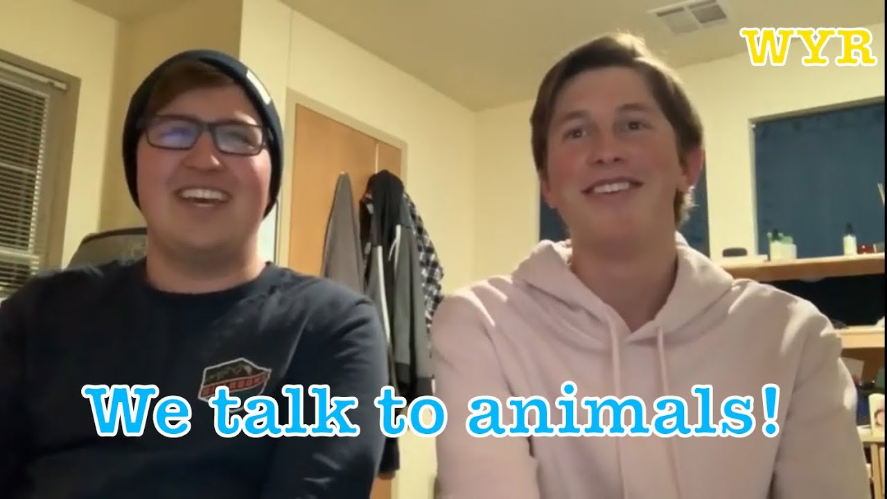 We talk to animals!!! WYR - YouTube