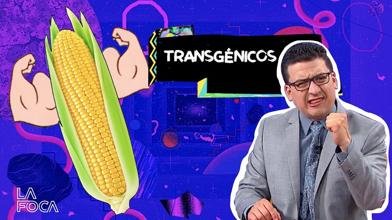 Transgénicos, ¿buenos, malos? - YouTube