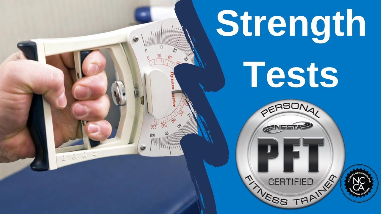 Strength Tests & Assessments for Personal Trainers - YouTube