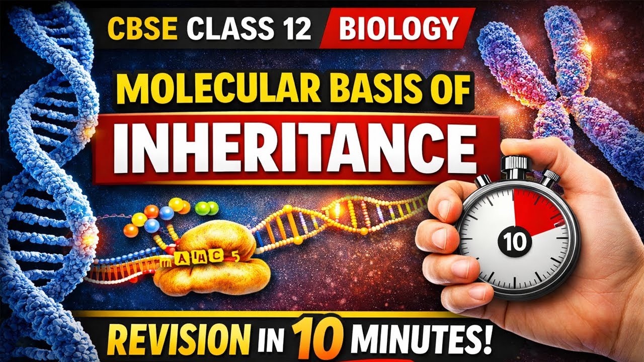 Molecular Basis of Inheritance in 10 Minutes | CBSE Class 12 Biology ...