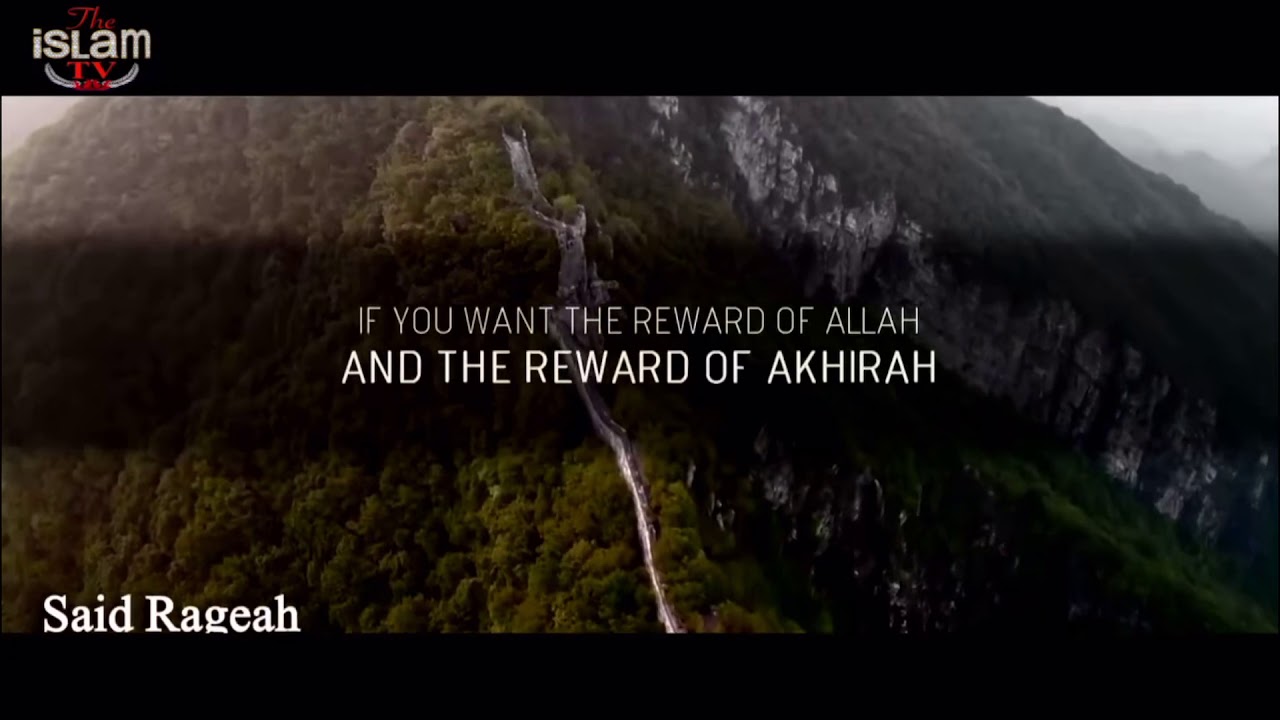 Sheikh Said Raage - YouTube