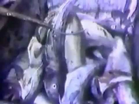 Decks Awash TV Series - YouTube