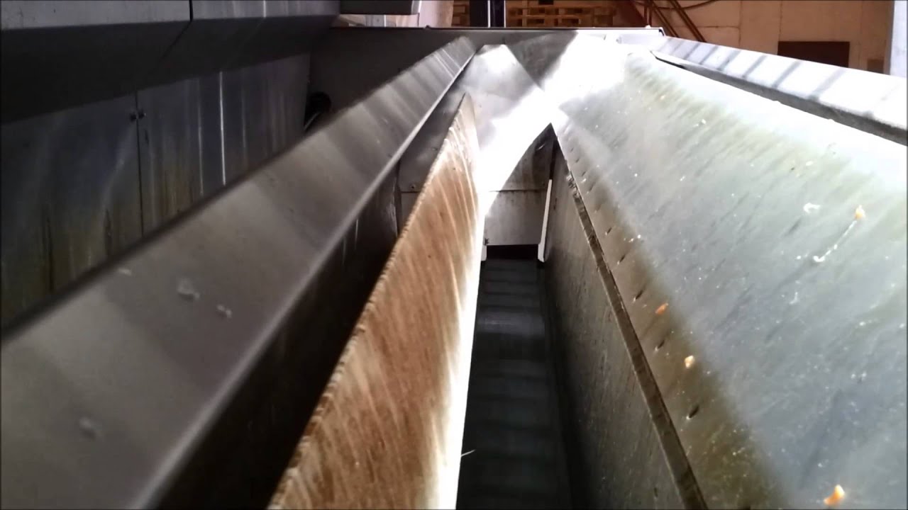 NEWTEC 4015B2 Weigher with 2 x JASA 250-MS VFFS 1kg carrots - YouTube