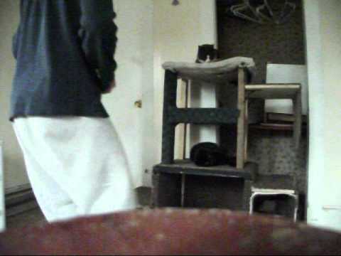 Homemade Cat condo - YouTube