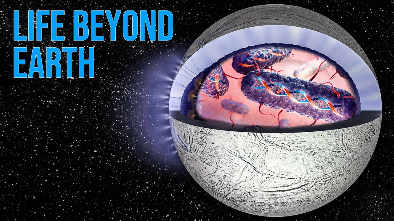 Scientists Discover Possible Life Outside Of Earth - YouTube
