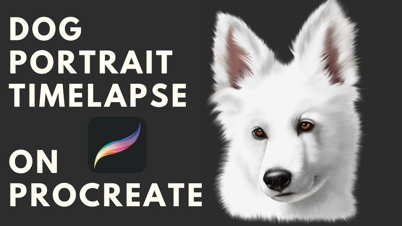 Realistic White Fur Dog Portrait Time-lapse In Procreate App ...