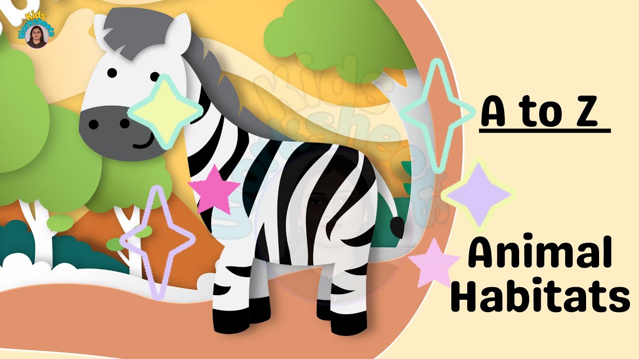A to Z Animal Habitats Social Studies|| Animal Habitat video|| Homes of ...