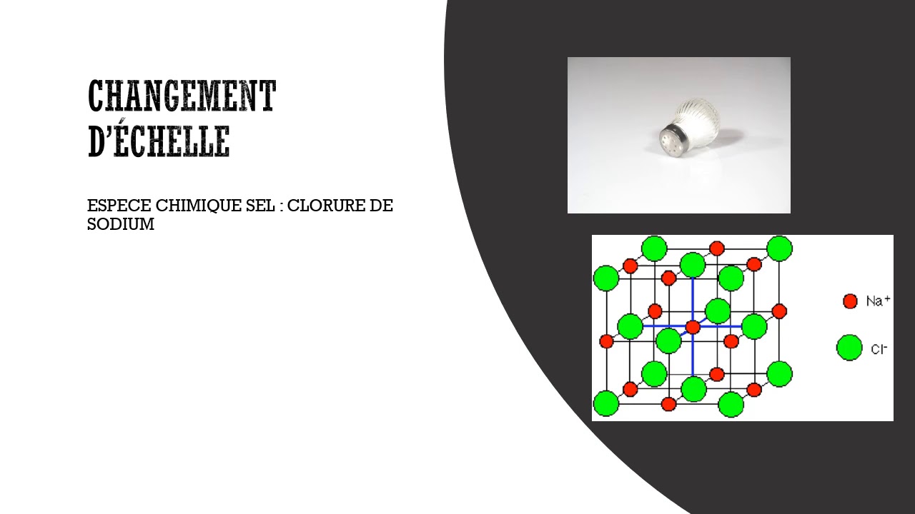 de l'espèce chimique à l'entité chimique - YouTube