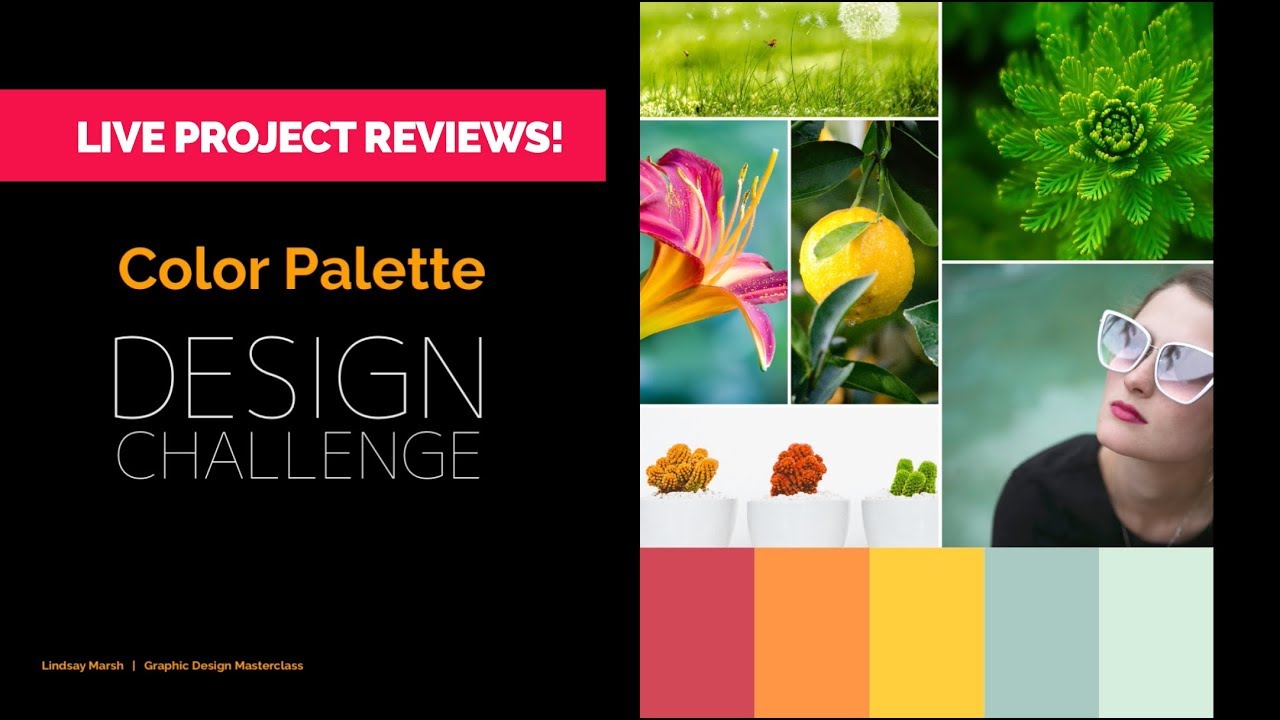 Live Review of Projects! 👇 ️ The Color Palette and Mood Board Design ...