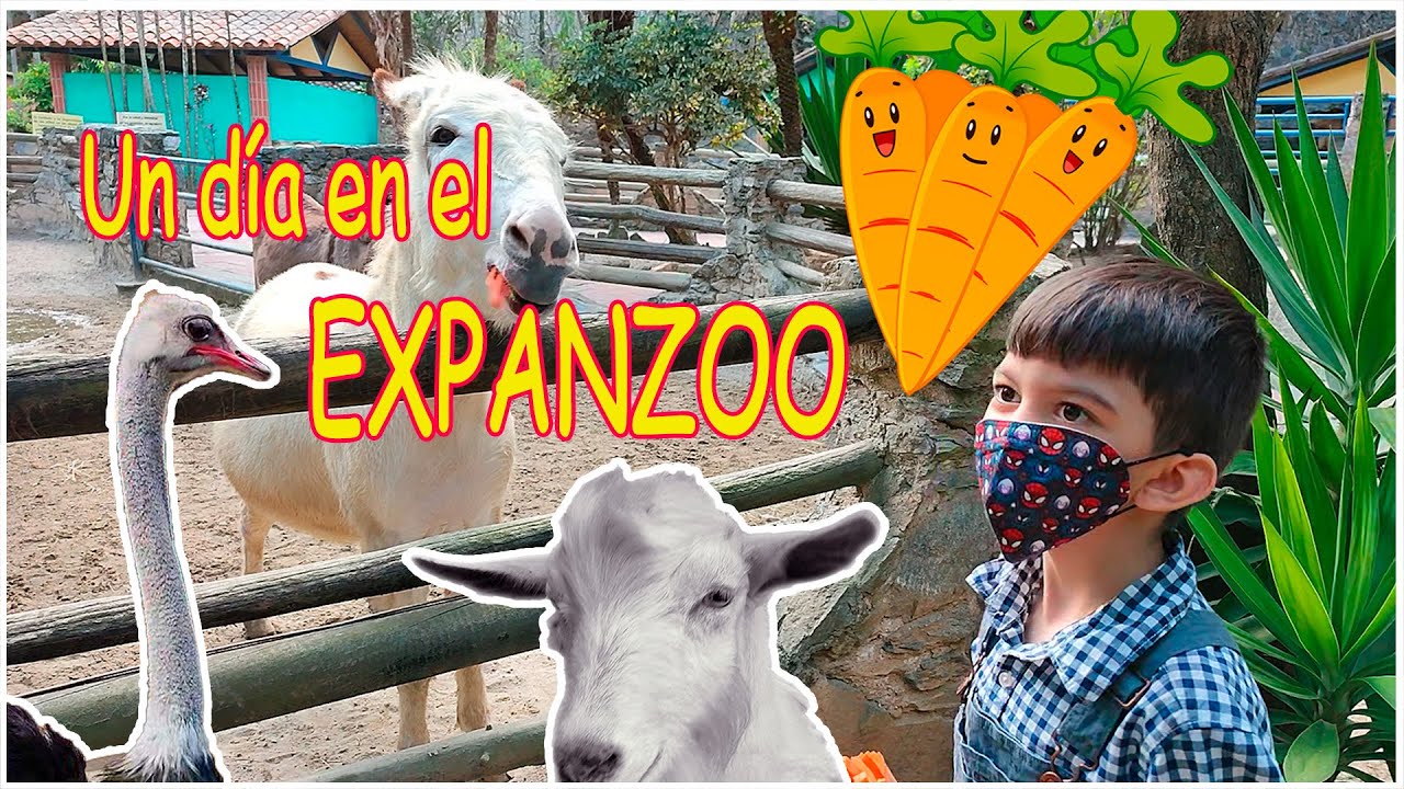 superjesús alimenta a los animales en el zoológico !!! │ Zoológico de ...