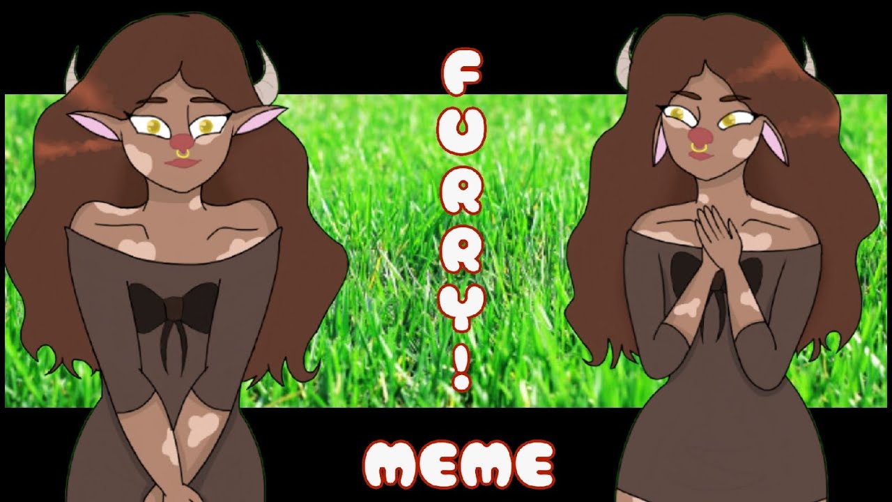 FURRY! Meme animation (flipaclip) - YouTube