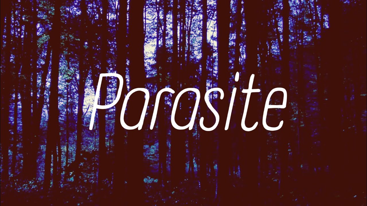 Parasite (Lyric Video) - YouTube