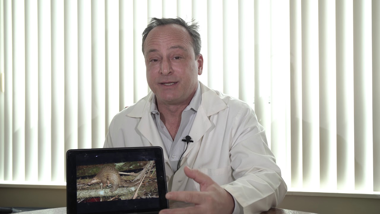 What Is An Intermediate Host - YouTube