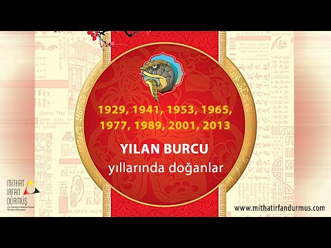 Çin Astrolojisi Burçlar - 6 - Yılan Burcu