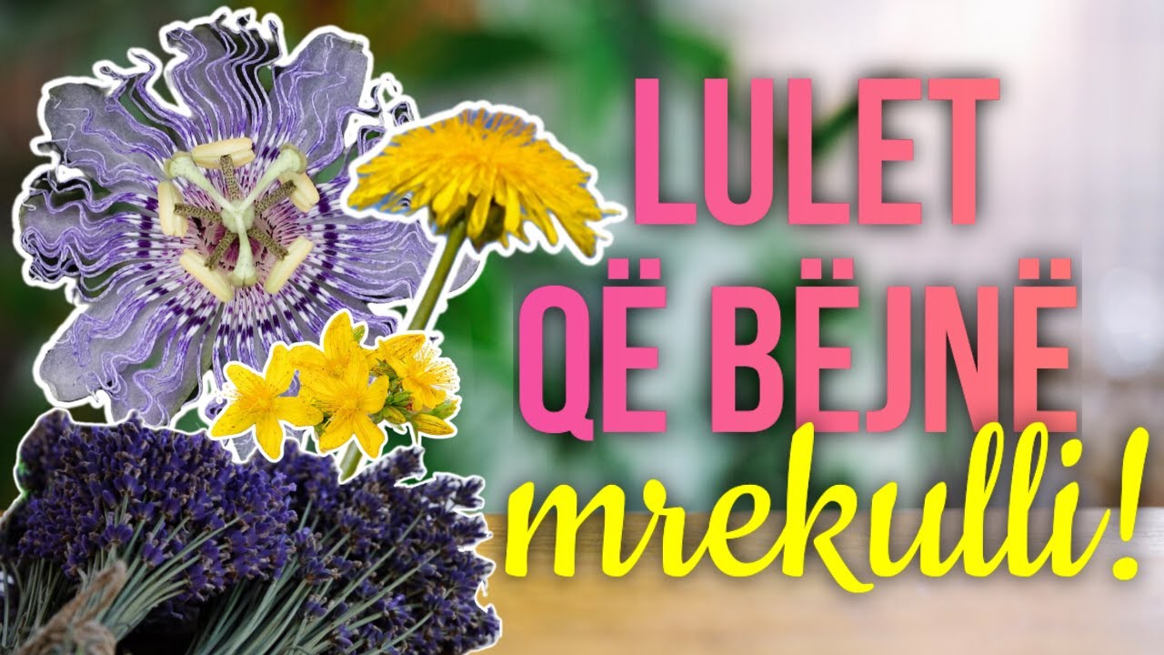 Lulet Çudibërëse, shërojnë shumë sëmundje - YouTube