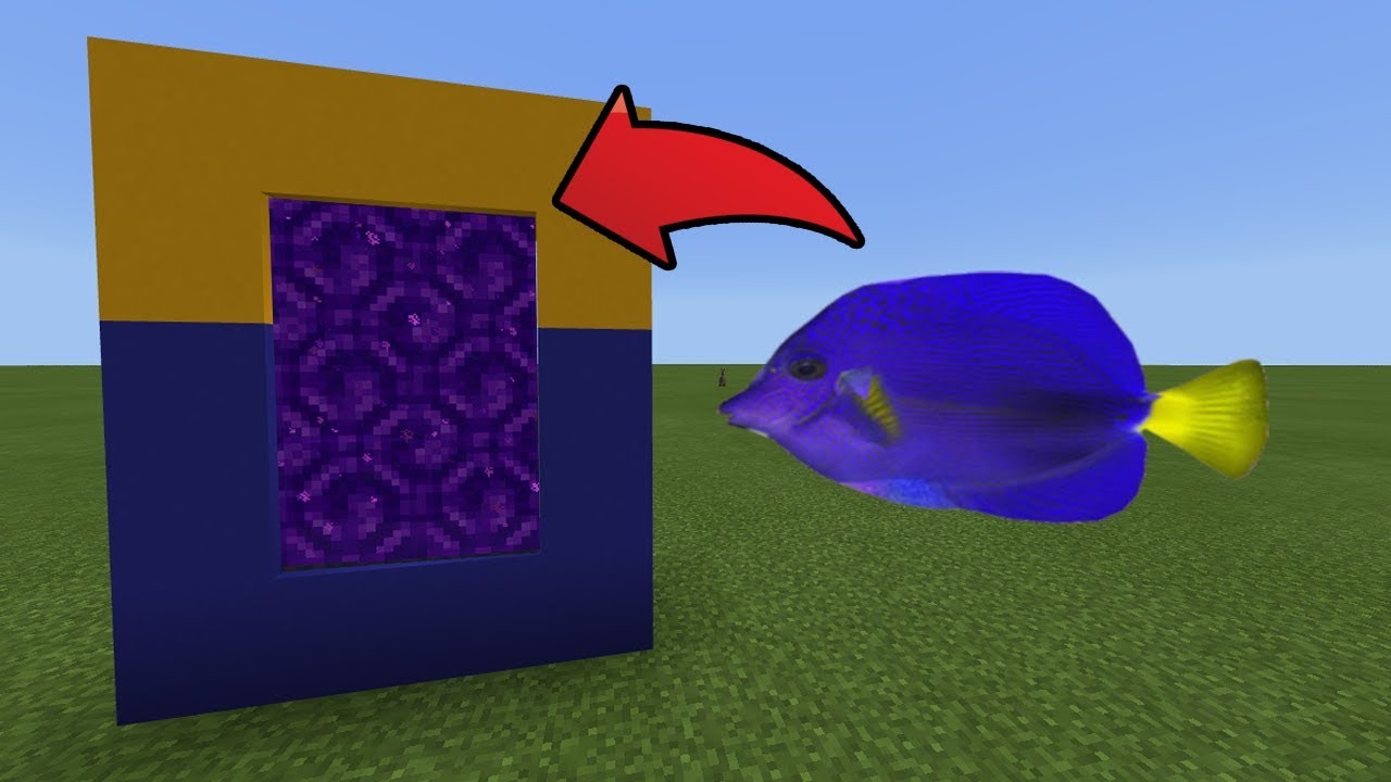 How To Make a Portal to the Purple Tang Dimension in MCPE (Minecraft PE ...