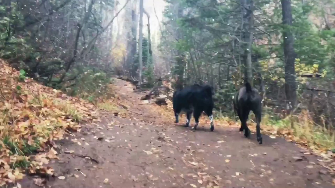 The Grotto, Payson canyon in the fall - YouTube