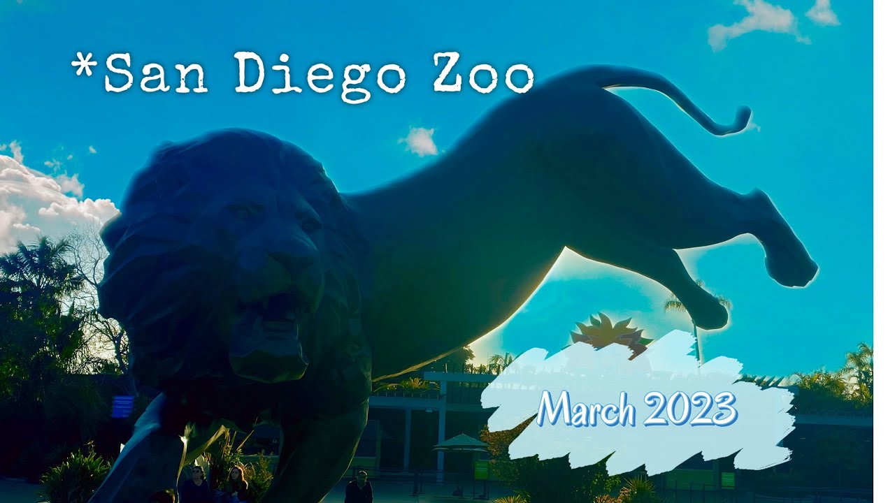 A Day at the San Diego Zoo, March 2023 - YouTube