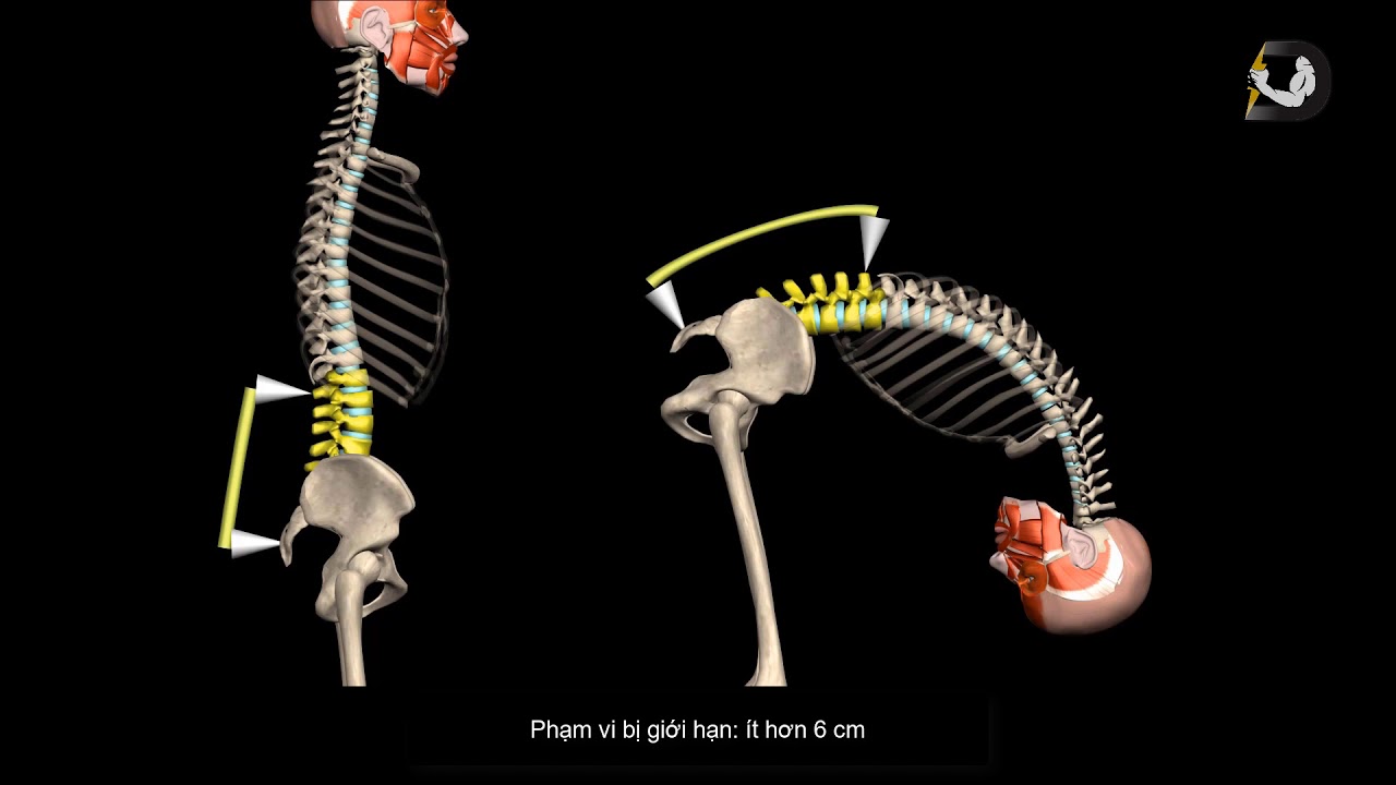 Thử nghiệm của Schober - YouTube