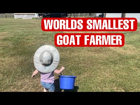 Worlds smallest GOAT FARMER - YouTube