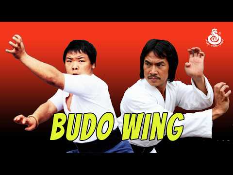 Ocean Shores - Budo Wing