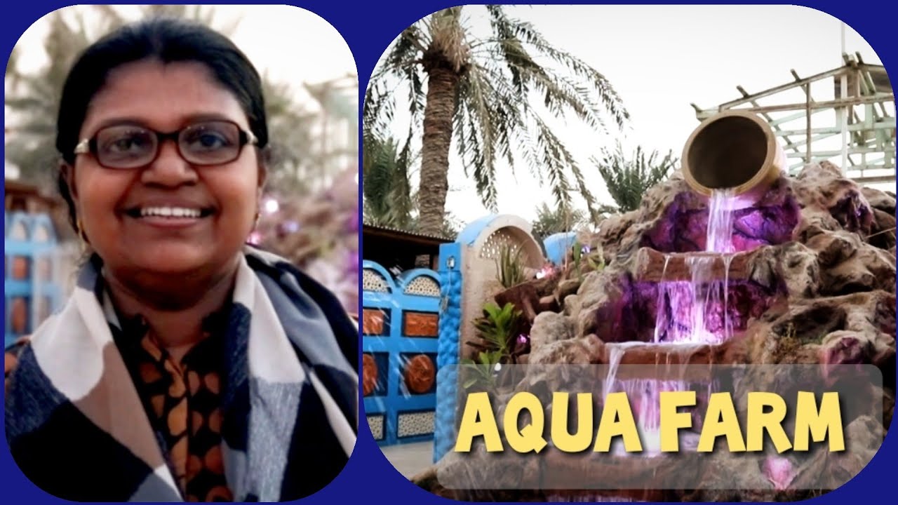 Fish Farming in Bahrain - YouTube
