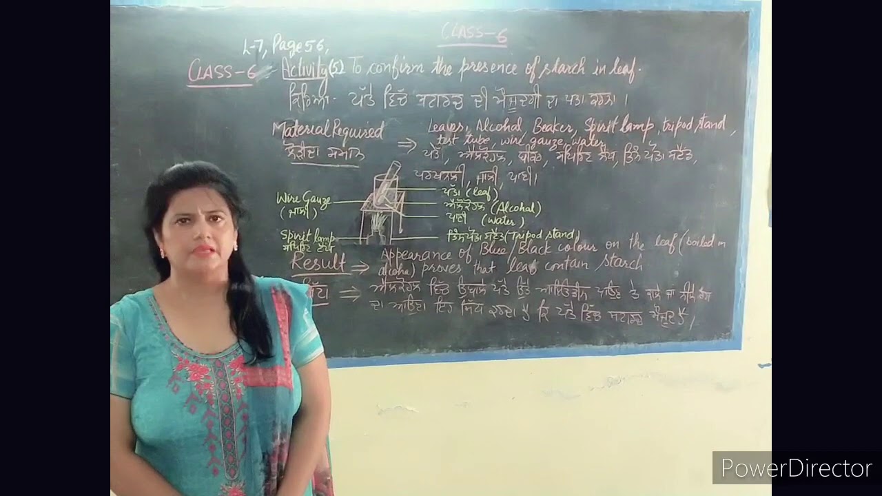 NCERT CLASS-6th Lession-7 Activities - YouTube