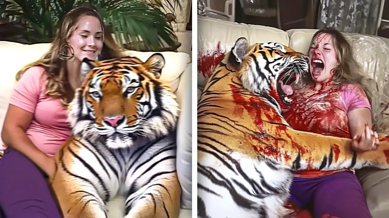 Unbelievable Pets That Ate Their Owners Right In Front Of Everyone ...