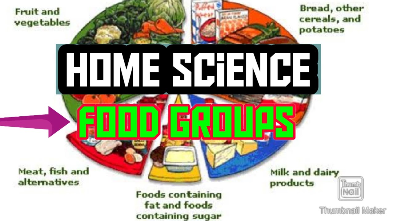 Home science (food groups) basic knowledge - YouTube