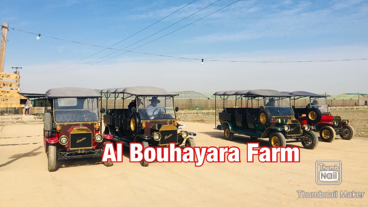 Al bouhayara farm in Abdali, kuwait - YouTube