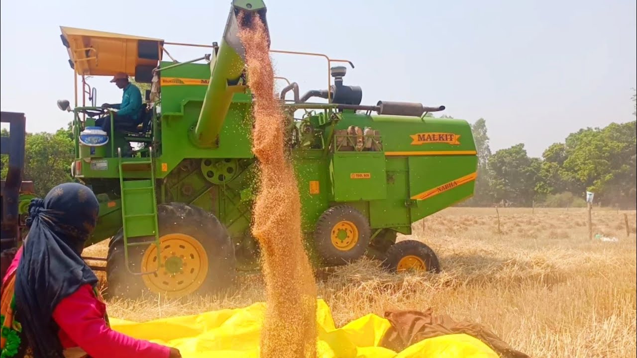 Malkit Combine Harvester Wheat Unloading in Tirpaal - YouTube