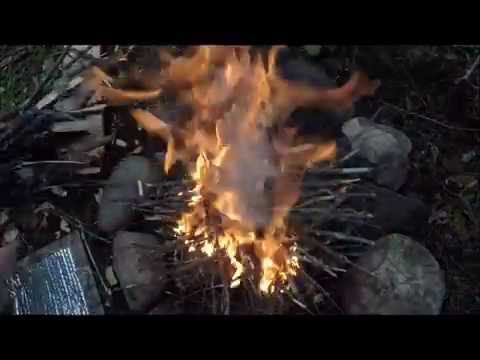 Basic Bushclass - Outing 5