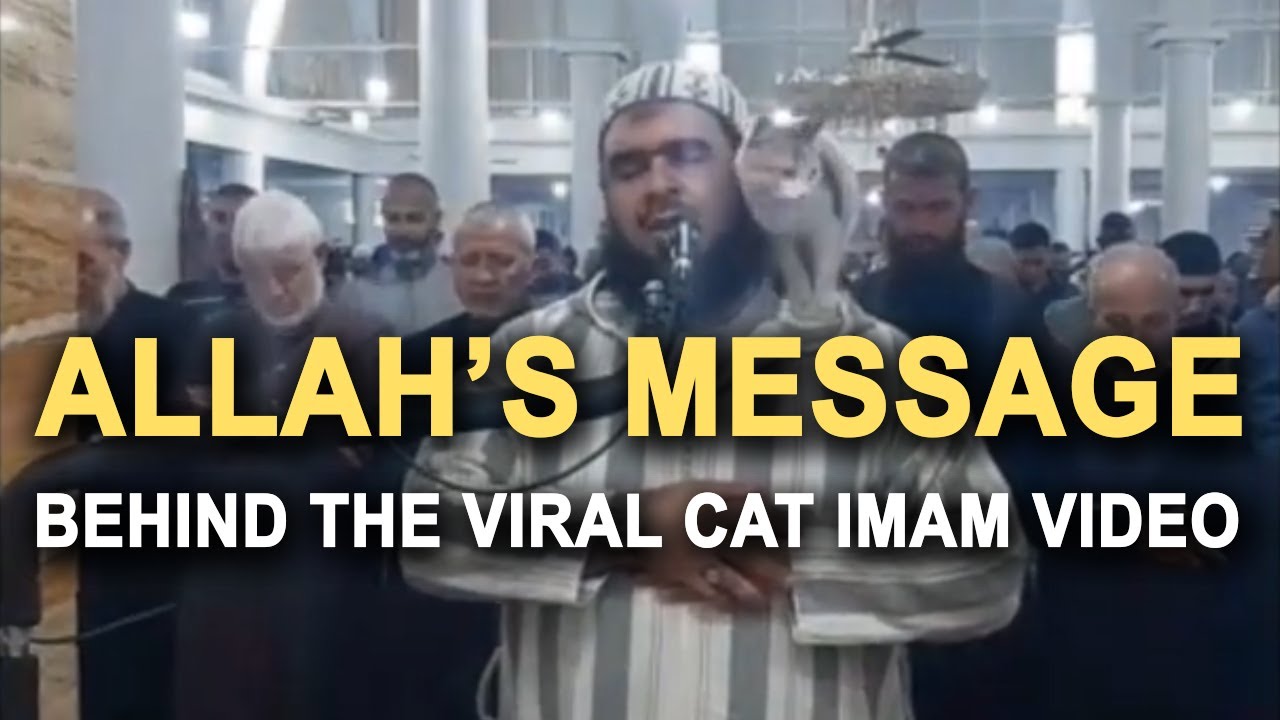 Allah's Message From The Viral Imam Cat Video - YouTube