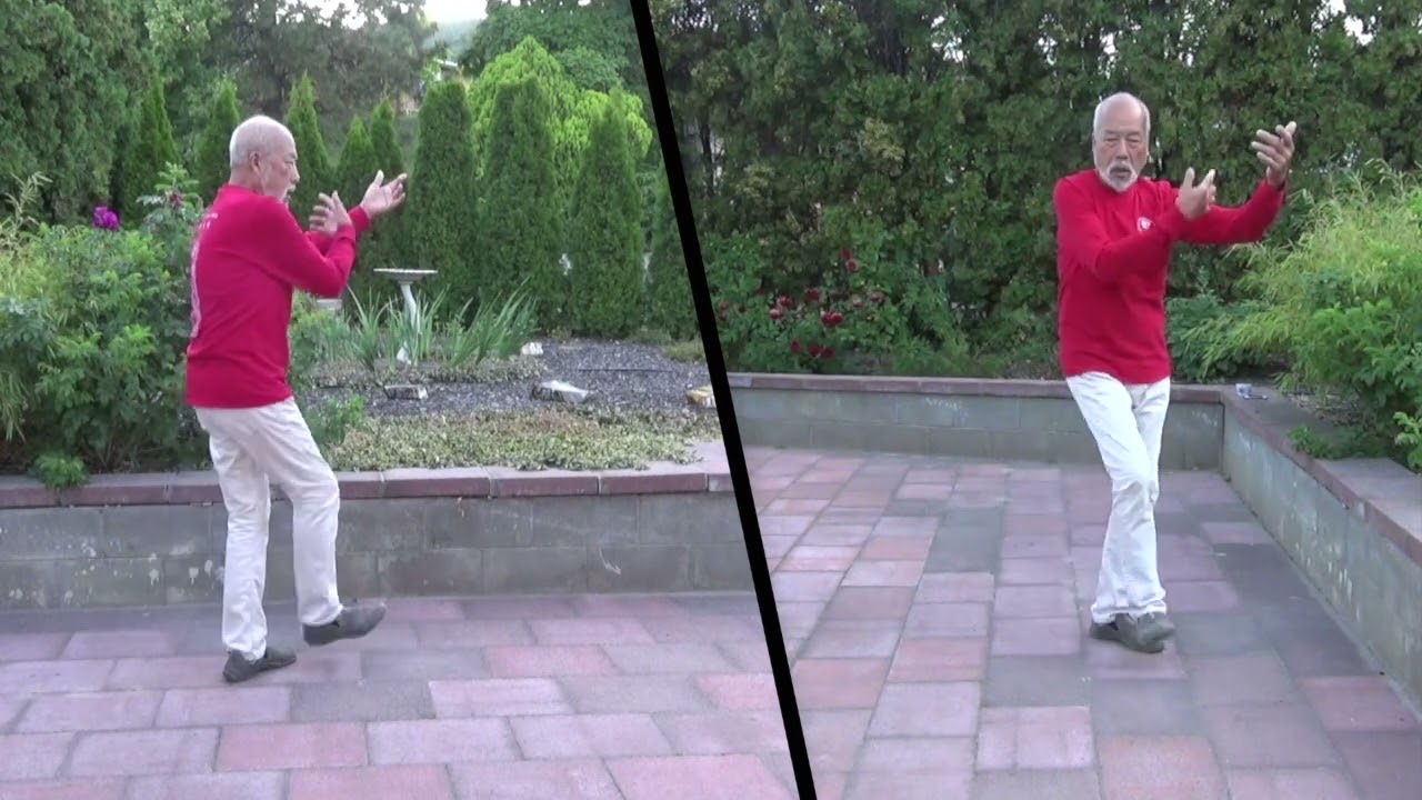 108 moves Moy TaiChi set - Move #14 Chop with Fist - YouTube