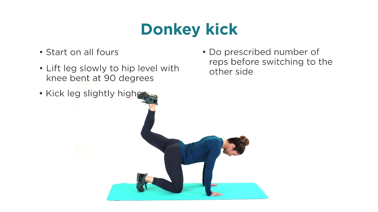 Donkey kick - YouTube