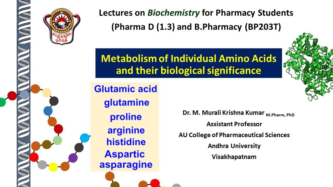 4 7 amino acid metabolism Asn Asp Gln Glu Pro - YouTube