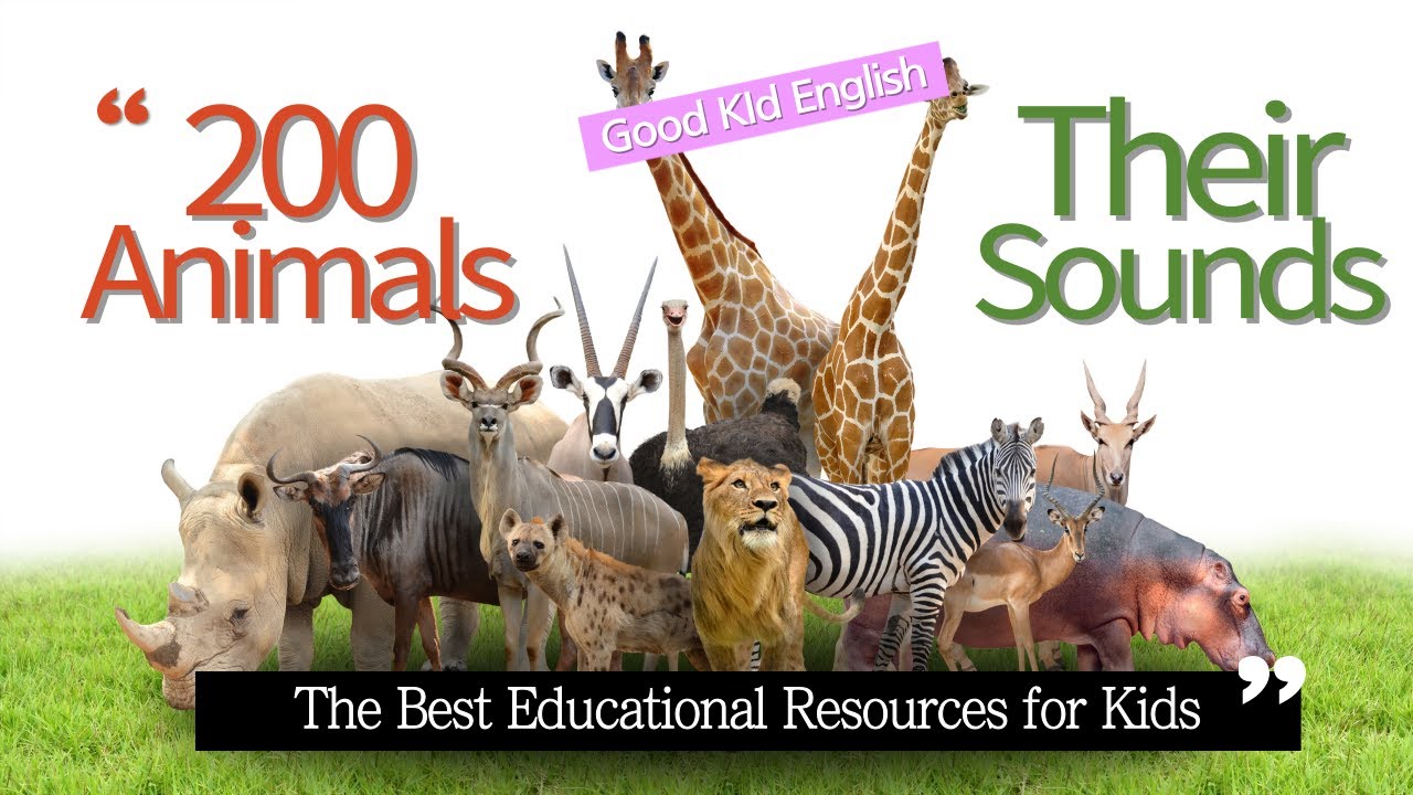 200 Animal Names and Sounds: An Educational Guide for Kids and Adults ...