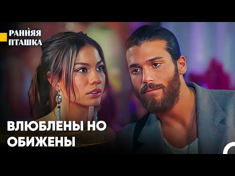 Кризис отношений Джана и Санем - Ранняя Пташка