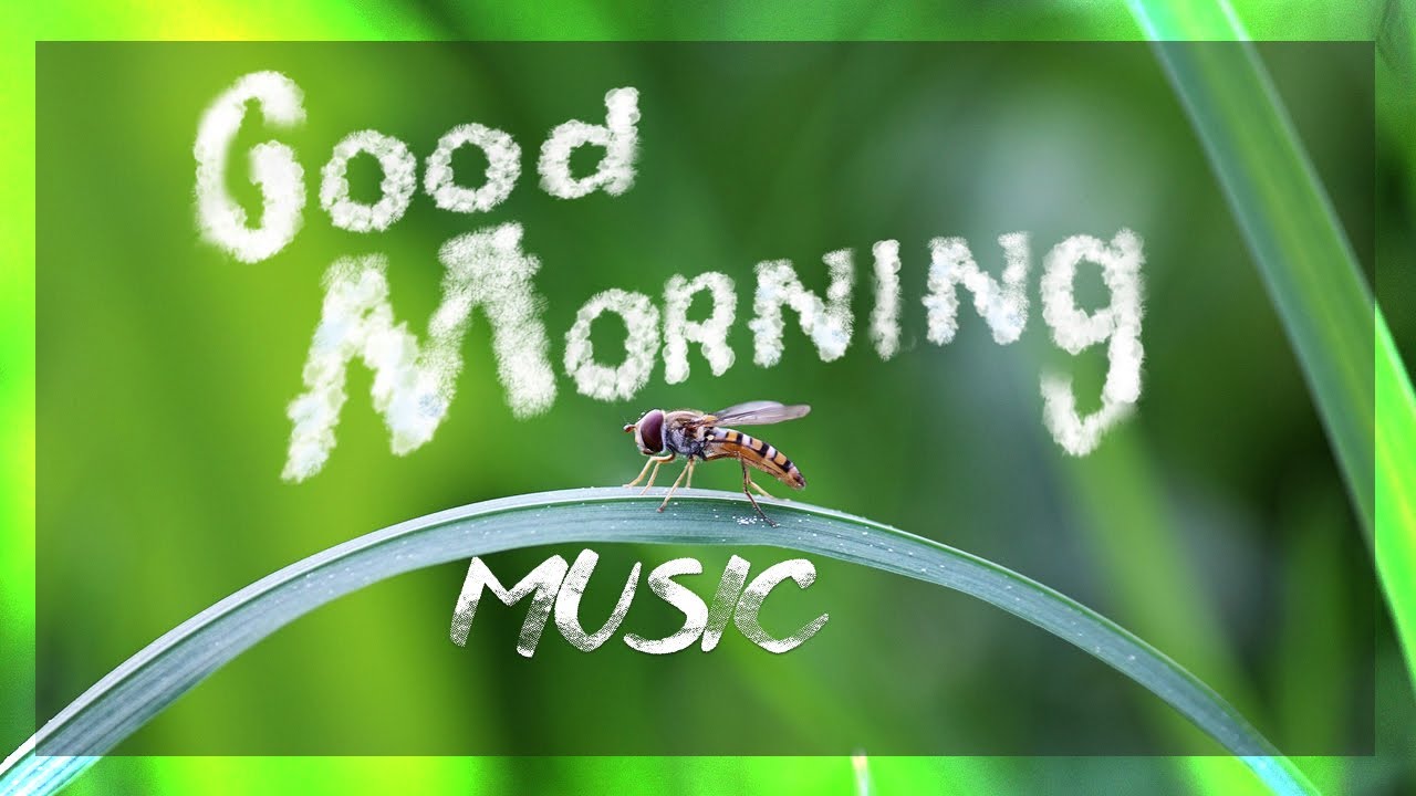 Good Morning Piano for boost the level of positive thinking and energy ...