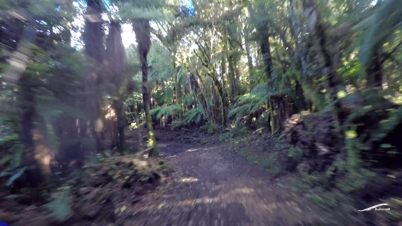 Timber Trail NZ, Mt Pureora Descent - YouTube
