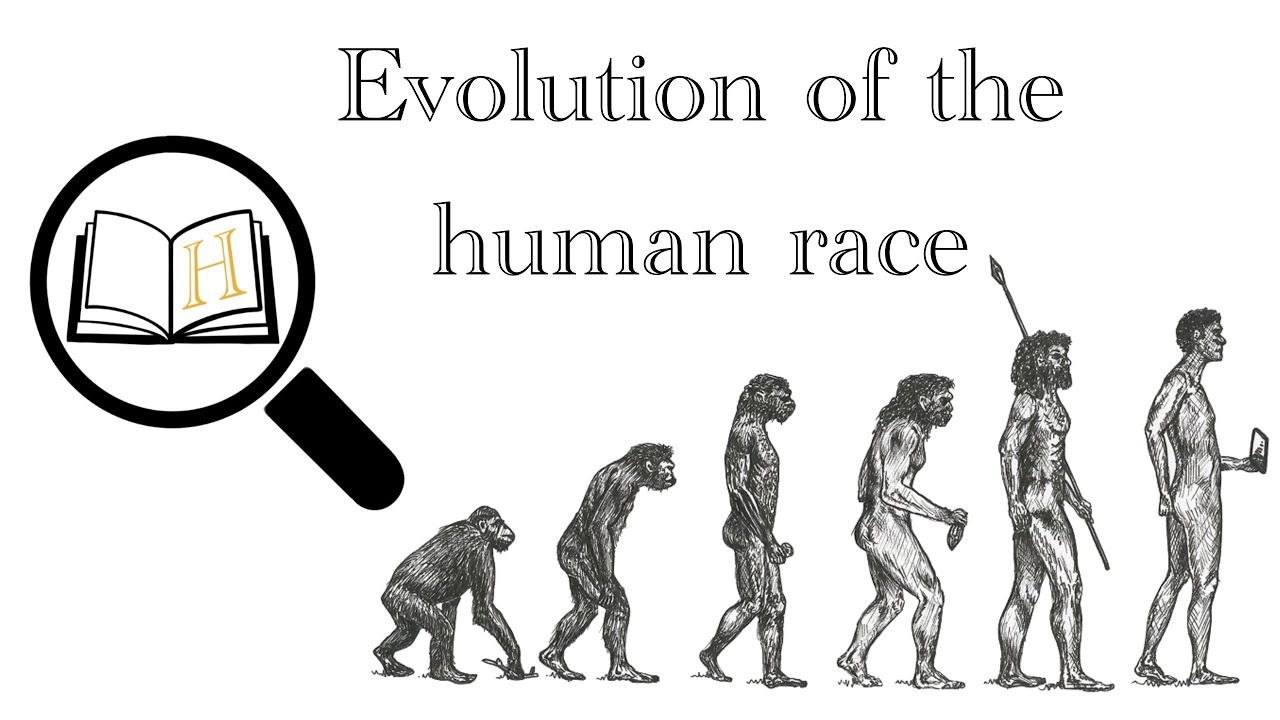 Evolution of the human race - Timeline - YouTube
