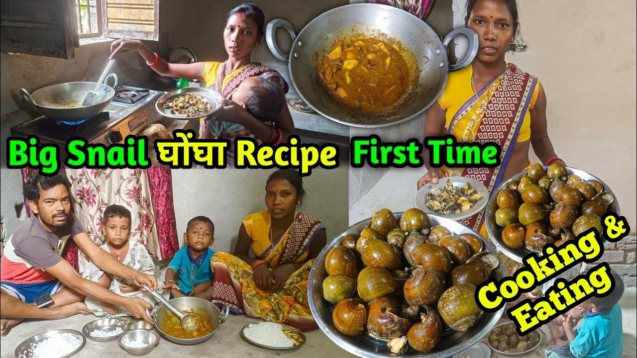 Today First time Try, Big Size Snail Cooking in Village style Cooking ...