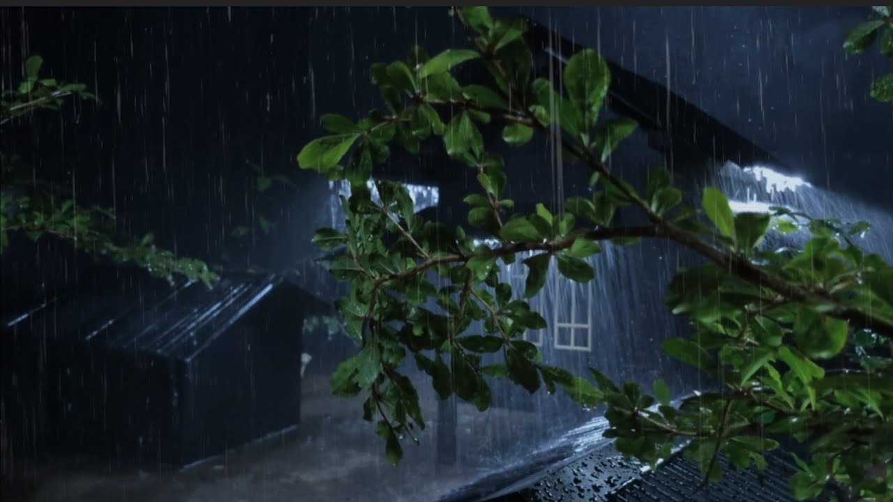 ⛈️Heavy Rain And Thunderstorm At Night Makes The Atmosphere Very Cold ...