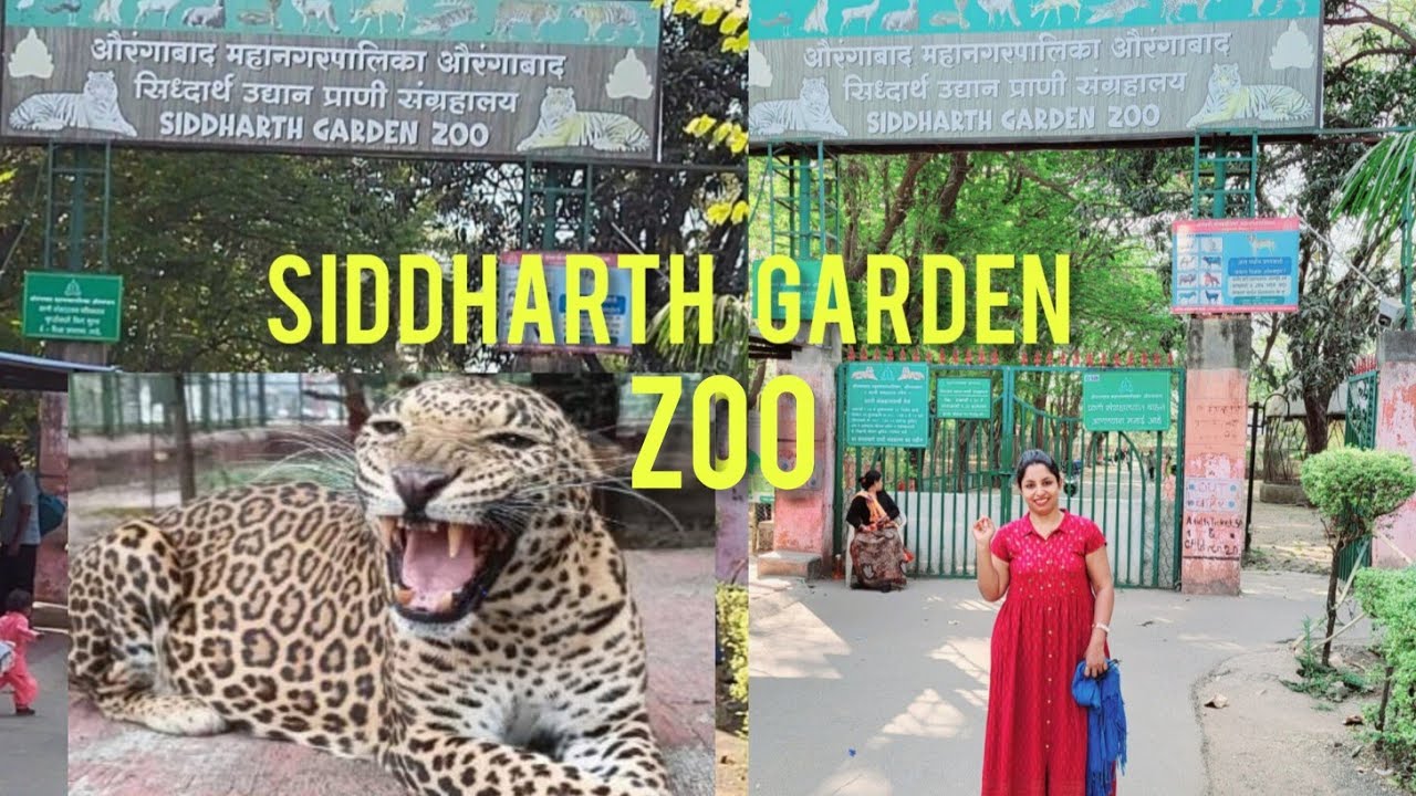 Siddharth Garden & zoo Sambhaji Nagar {Aurangabad}Most Famous zoo in ...