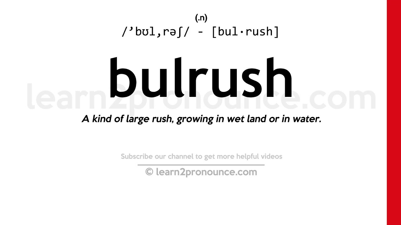 Pronunciation of Bulrush | Definition of Bulrush - YouTube